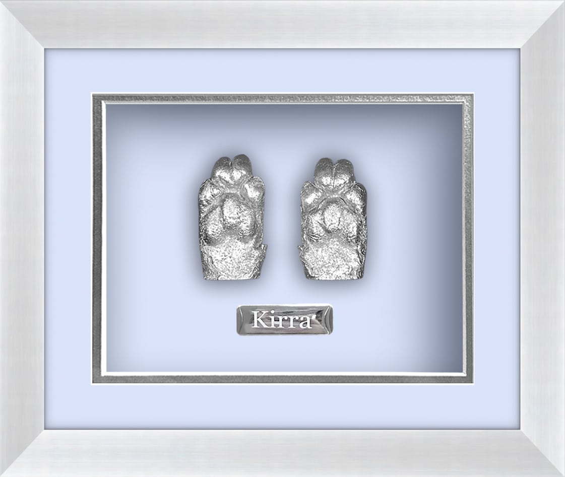 Framed Plaster Paw Prints (Without photo $300 - F2 ) | Petrest